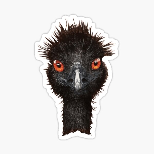 "Funny Emu Bird - Cool Emu Illustration" Sticker for Sale by ...