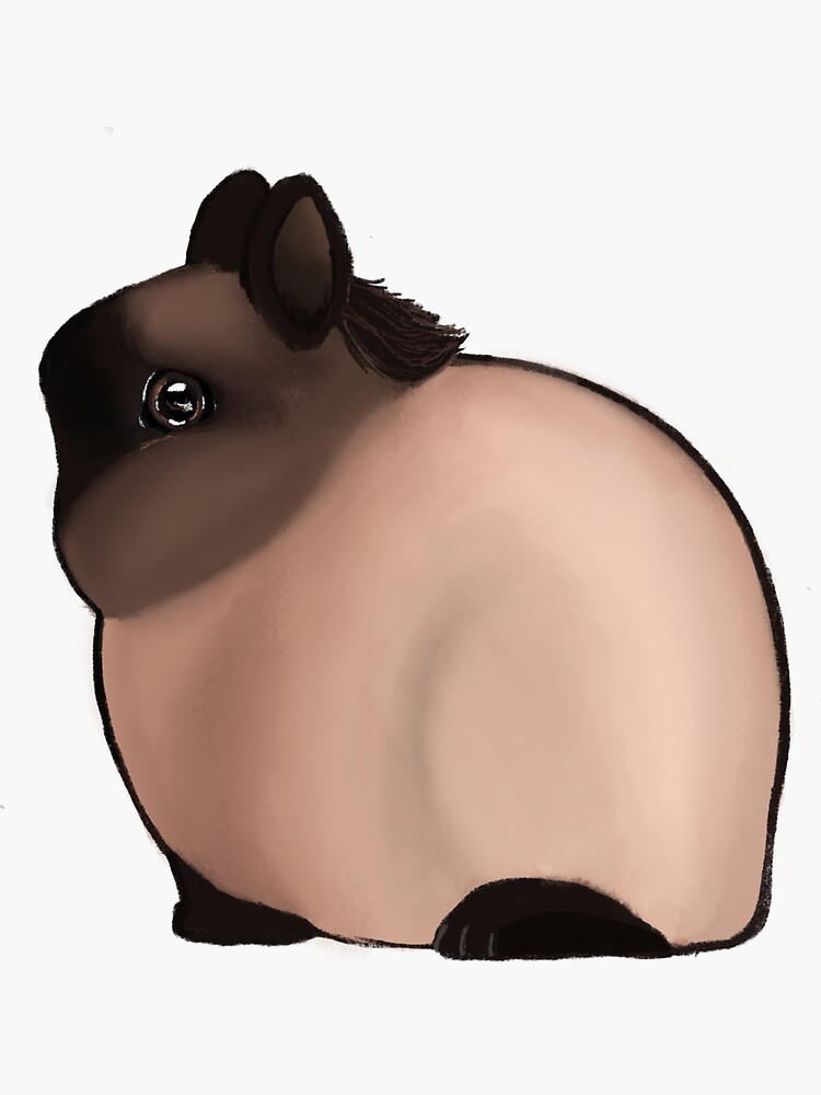 "Netherland - Transparent- Siamese Sable" Sticker for Sale by ...