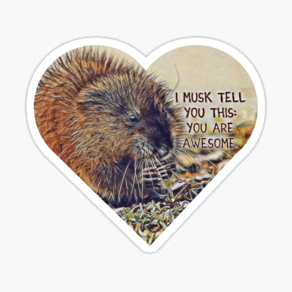Muskrats Gifts & Merchandise for Sale | Redbubble