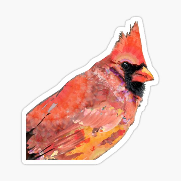 "Bright Red Cardinal Bird Art by Sharon Cummings" Sticker by ...