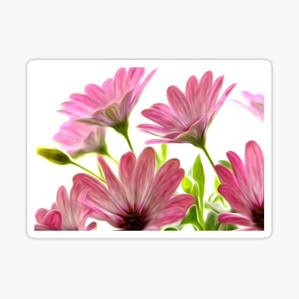 "Pink Daisies" Sticker by fredseghetti | Redbubble