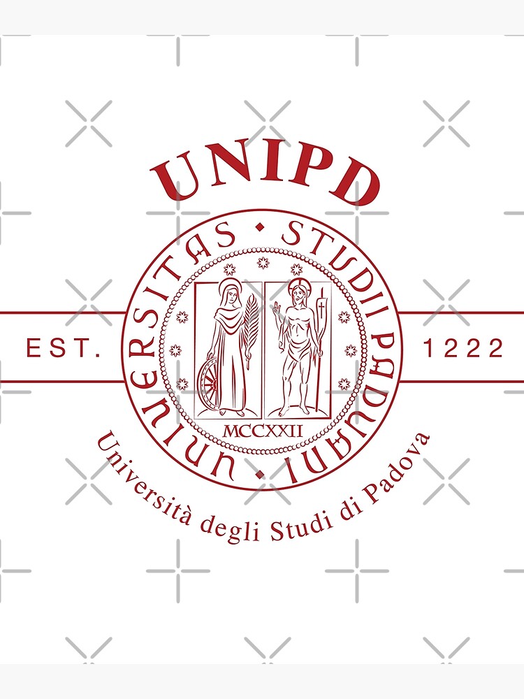 "The University of Padua" Poster for Sale by urbantale | Redbubble
