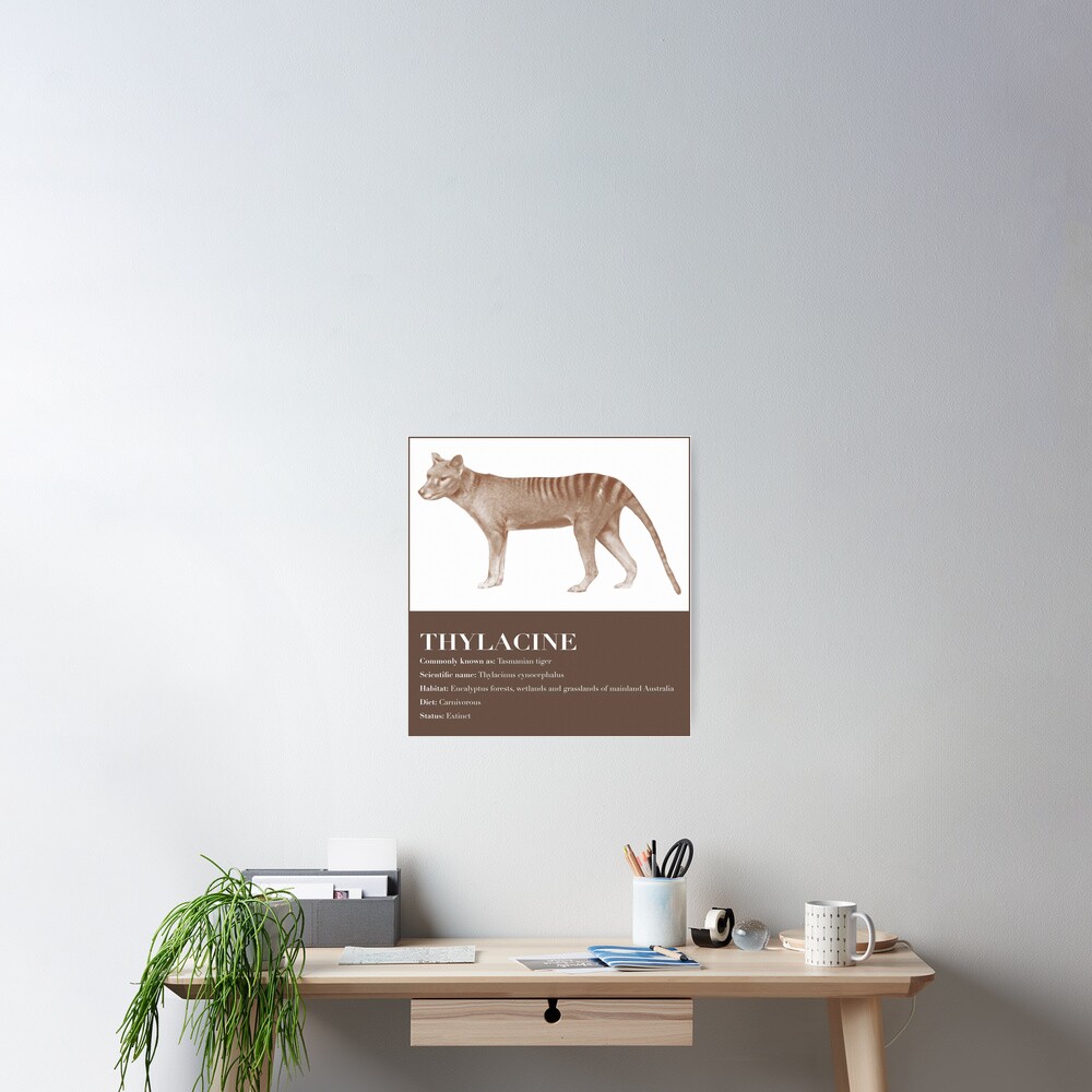 "Thylacine Facts - Tasmanian Tiger" Poster by from-wildwood | Redbubble