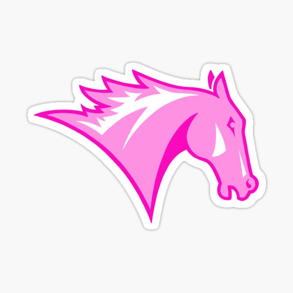 "Colby Sawyer College Pink Logo" Sticker by cs332 | Redbubble