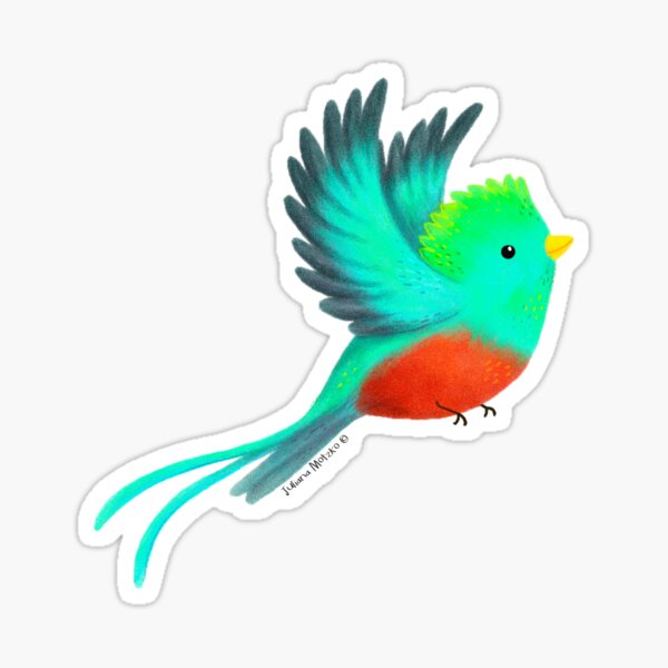 "Quetzal bird" Sticker by julianamotzko | Redbubble