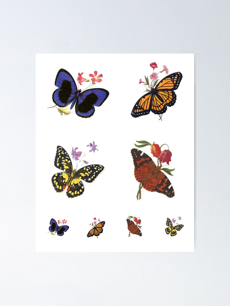 "Vintage Butterflies, Colorful Victorian Insect Art" Poster for Sale by ...
