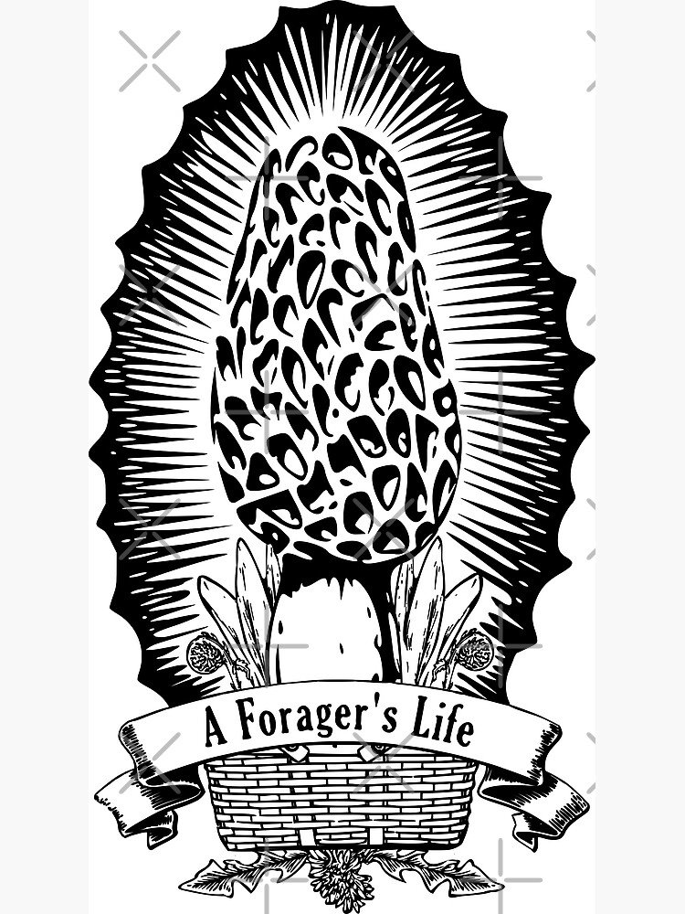 Morel Hunter Forager's Life Spring Wild Edibles Premium Matte Vertical ...
