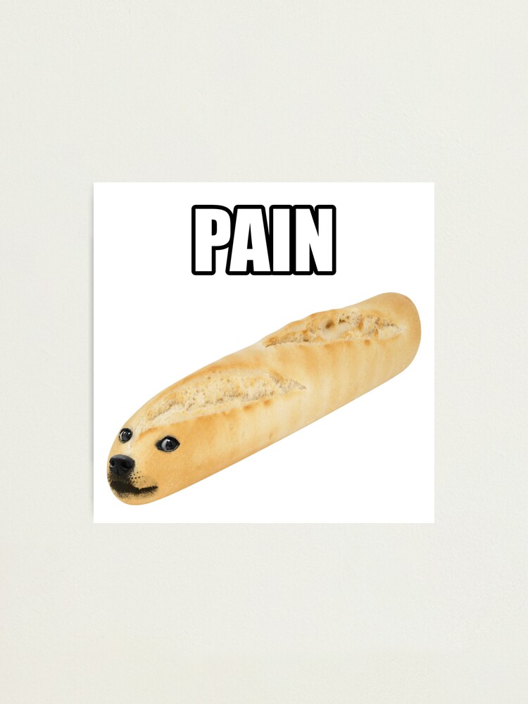 "Doge Pain Meme" Photographic Print for Sale by fomodesigns | Redbubble