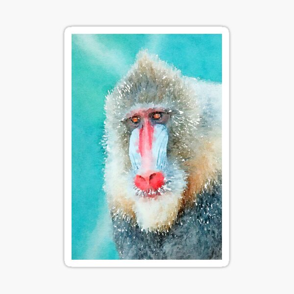 "Mandrill " Sticker by iza-t | Redbubble