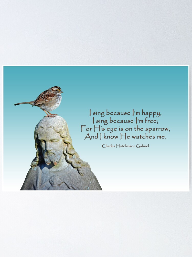 Color Art & Collectibles Photography Fox Sparrow Photo with Song Lyrics His Eye is on the ...