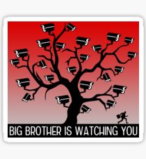 Big Brother Is Watching You: Stickers | Redbubble