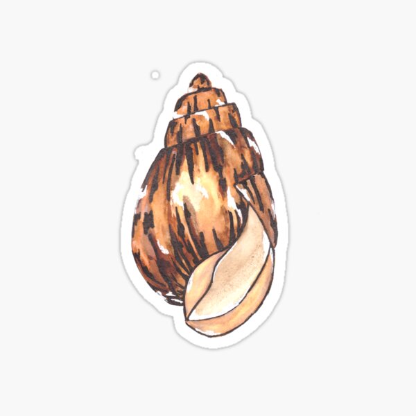 "Brown Spiral Snail Shell" Sticker by Zeichenbloq | Redbubble