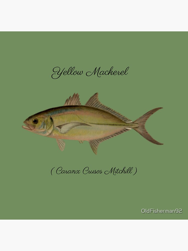 "Yellow Mackerel" Sticker by OldFisherman92 | Redbubble