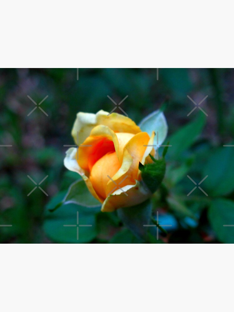 "Life Blossom" Sticker by ZindyCreations | Redbubble