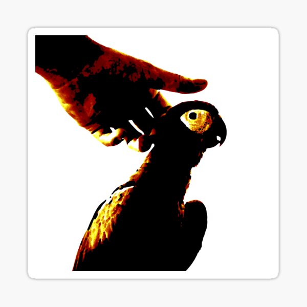 "ojo" Sticker for Sale by fisheye-parrots | Redbubble
