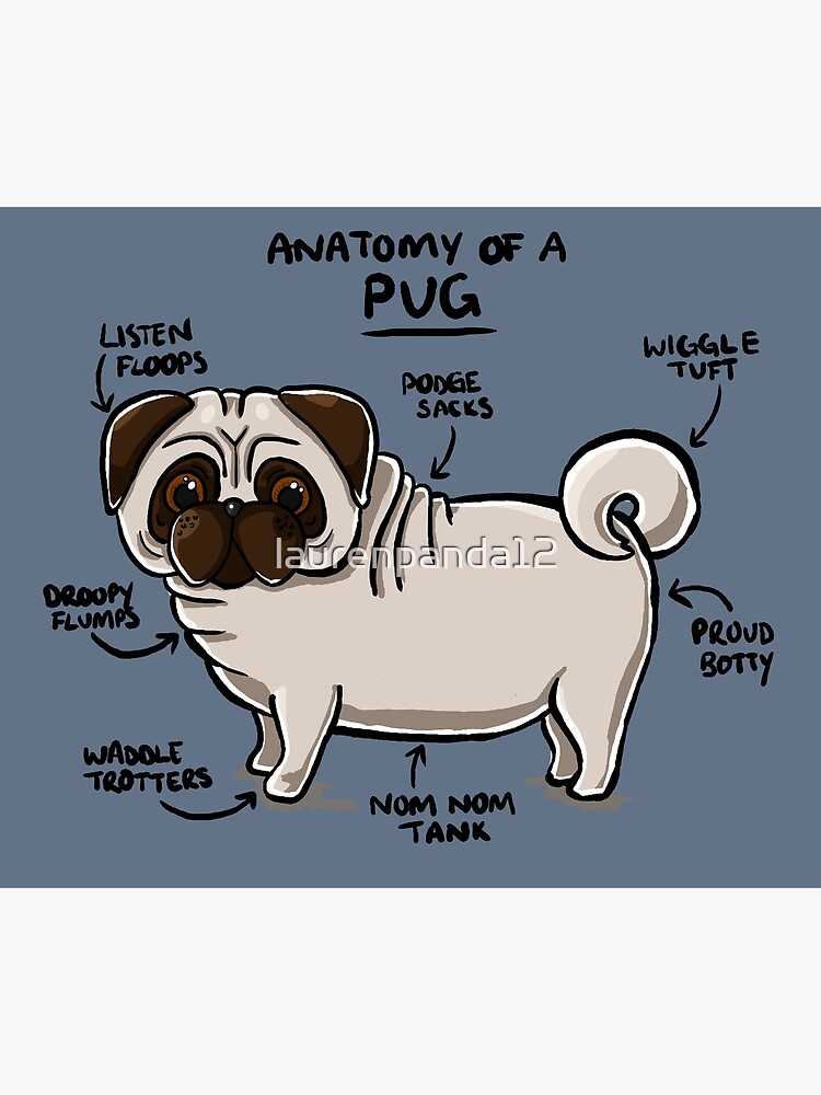Póster «Anatomía de un pug» de laurenpanda12 | Redbubble
