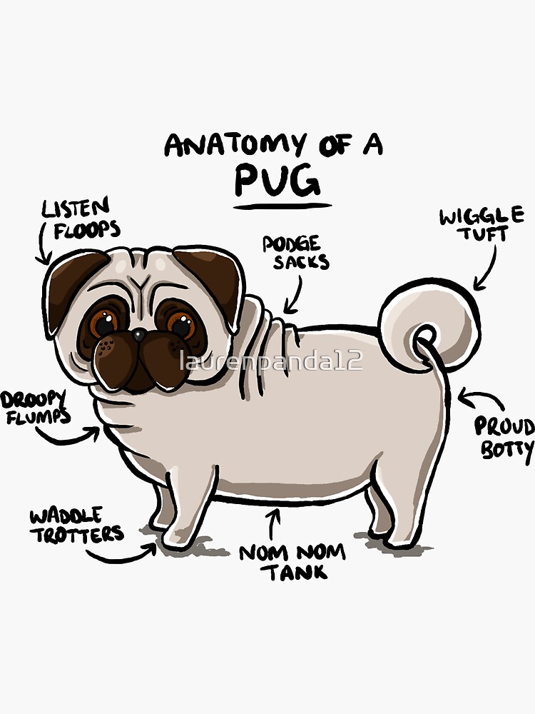 "Anatomy of a Pug" Sticker for Sale by laurenpanda12 | Redbubble