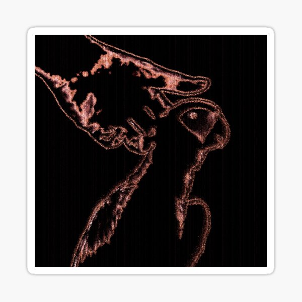 "rayar" Sticker by fisheye-parrots | Redbubble