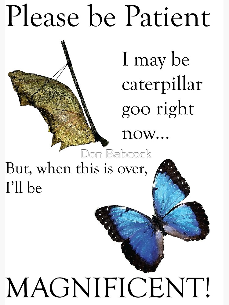 "Be Patient – I'm Gonna Be Magnificent – Blue Morpho" Poster by ...