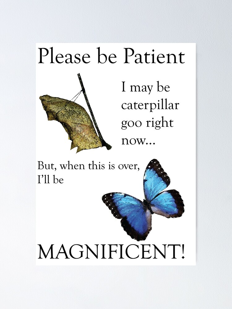 "Be Patient – I'm Gonna Be Magnificent – Blue Morpho" Poster by ...