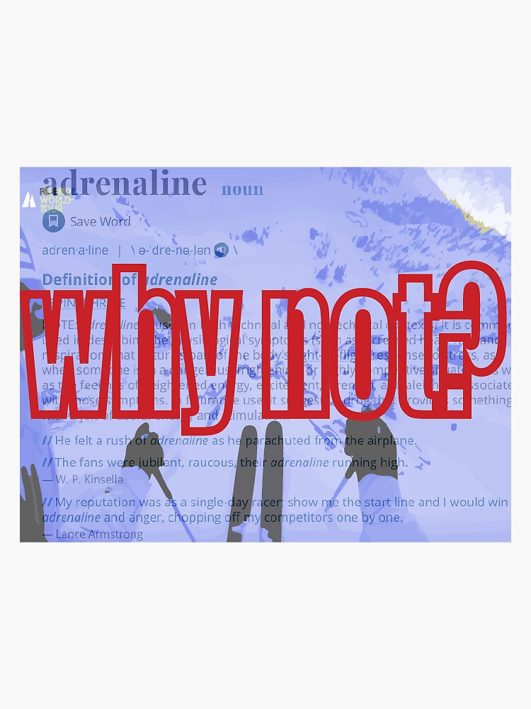 "Why Not" Sticker for Sale by maggieblohm | Redbubble