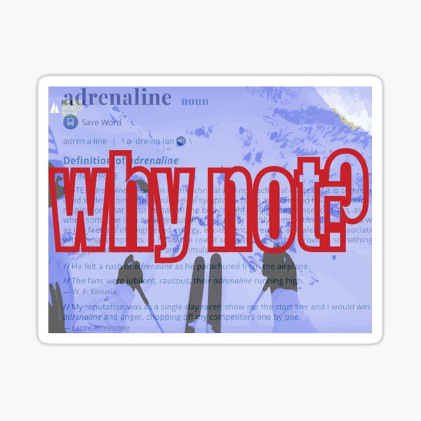 "Why Not" Sticker for Sale by maggieblohm | Redbubble
