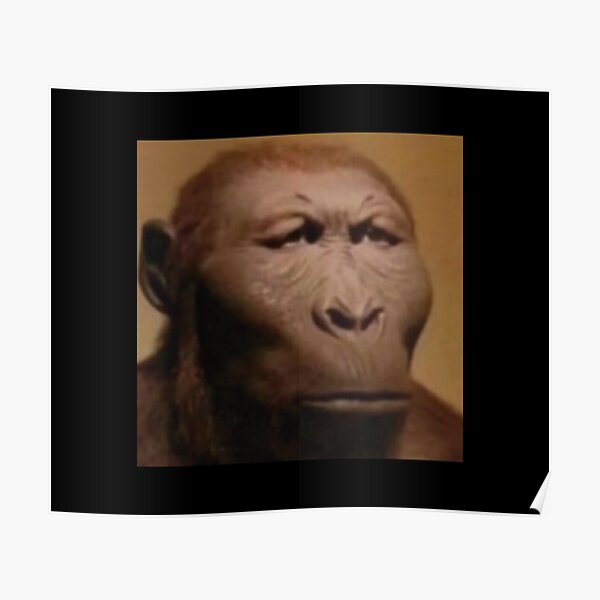 "Quandale dingle meme" Poster by Robin2000 | Redbubble