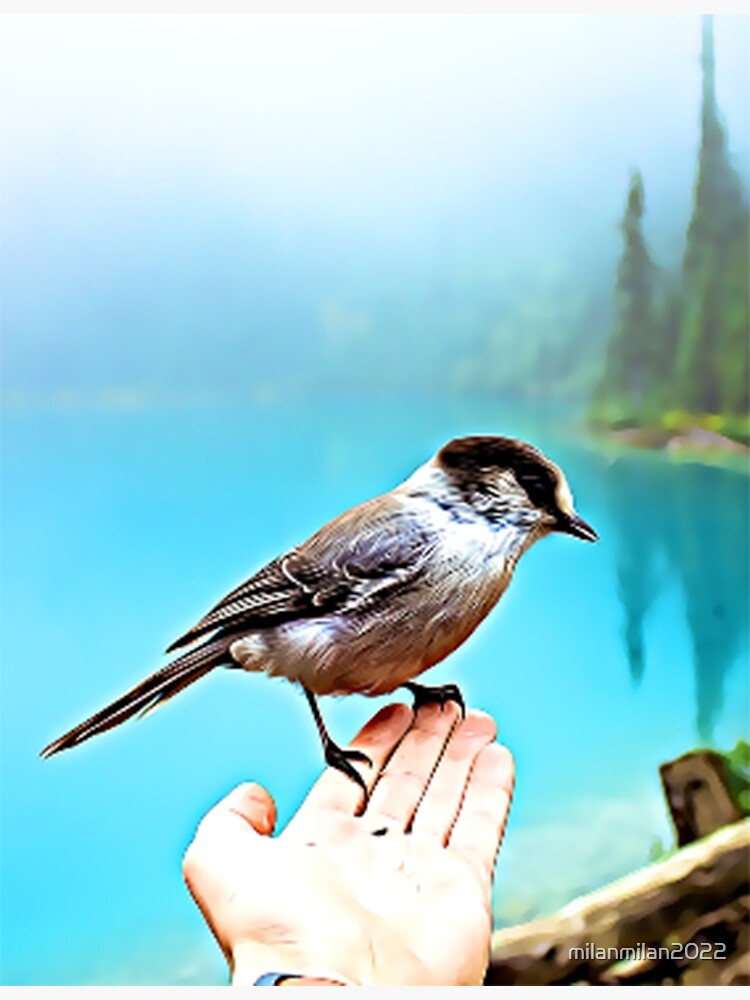 "spread mind like bird wings" Poster for Sale by milanmilan2022 | Redbubble