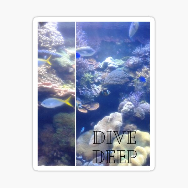 "Dive Deep" Sticker for Sale by trial-roma | Redbubble