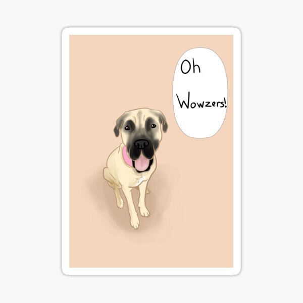 Wowzers Gifts & Merchandise | Redbubble