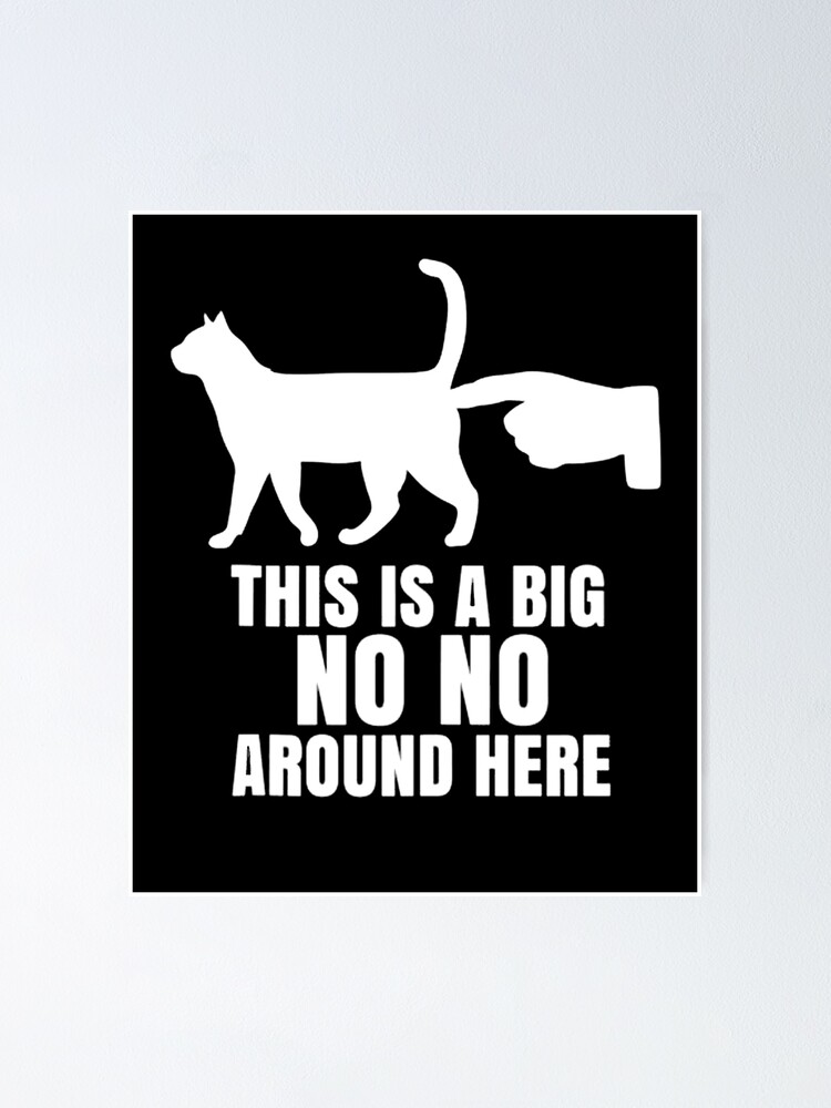 "This Is A Big Nono Around Here - funny cat" Poster for Sale by ...