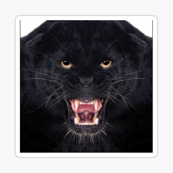 "pars" Sticker for Sale by 4677furkan | Redbubble