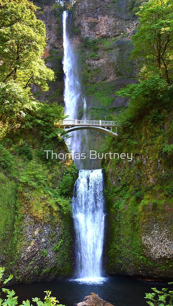 "Multnomah Falls Portland Oregon" by Thomas Burtney | Redbubble