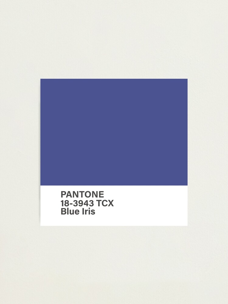 "pantone 18-3943 TCX Blue Iris" Photographic Print for Sale by ...