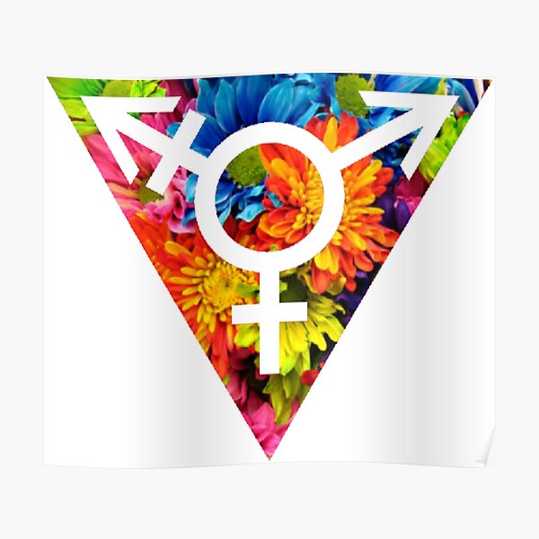 "Transgender Pride" Poster by raybound420 | Redbubble