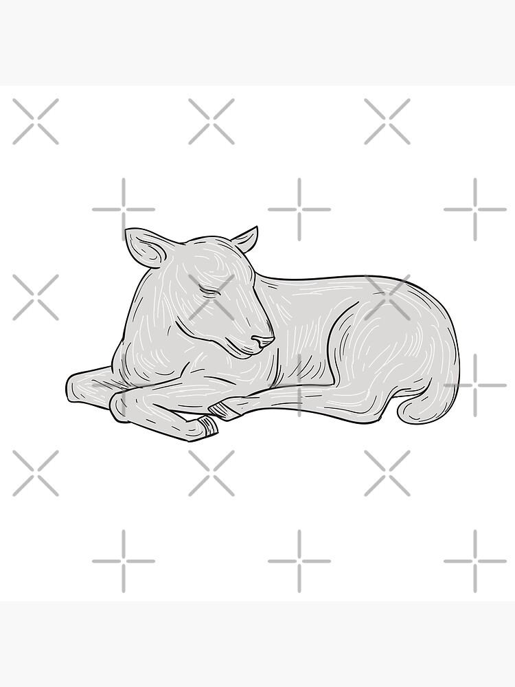 "Lamb Sleeping Drawing" Poster for Sale by patrimonio | Redbubble