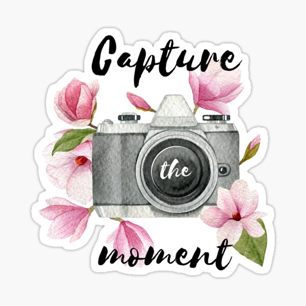 "Capture the moment" Sticker for Sale by Mesori | Redbubble