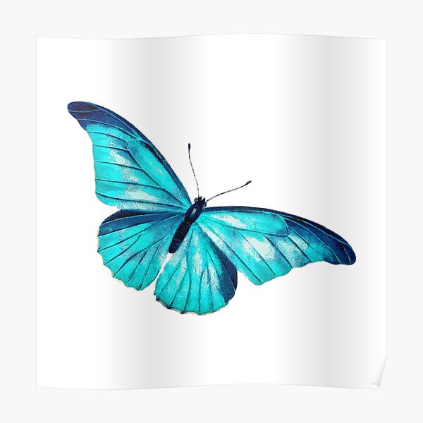 "Light Blue butterfly" Poster for Sale by Casiel31 | Redbubble