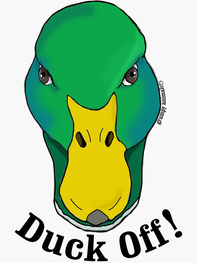 "Grumpy Animals "Duck"" Sticker by MadameDevious | Redbubble