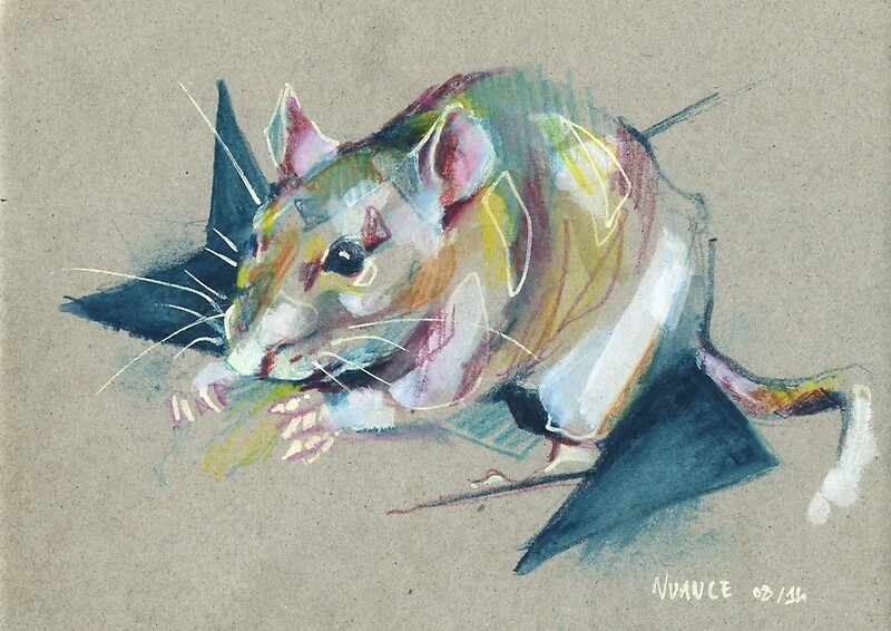 "Zelda the rat" by Anaïs Chesnoy | Redbubble
