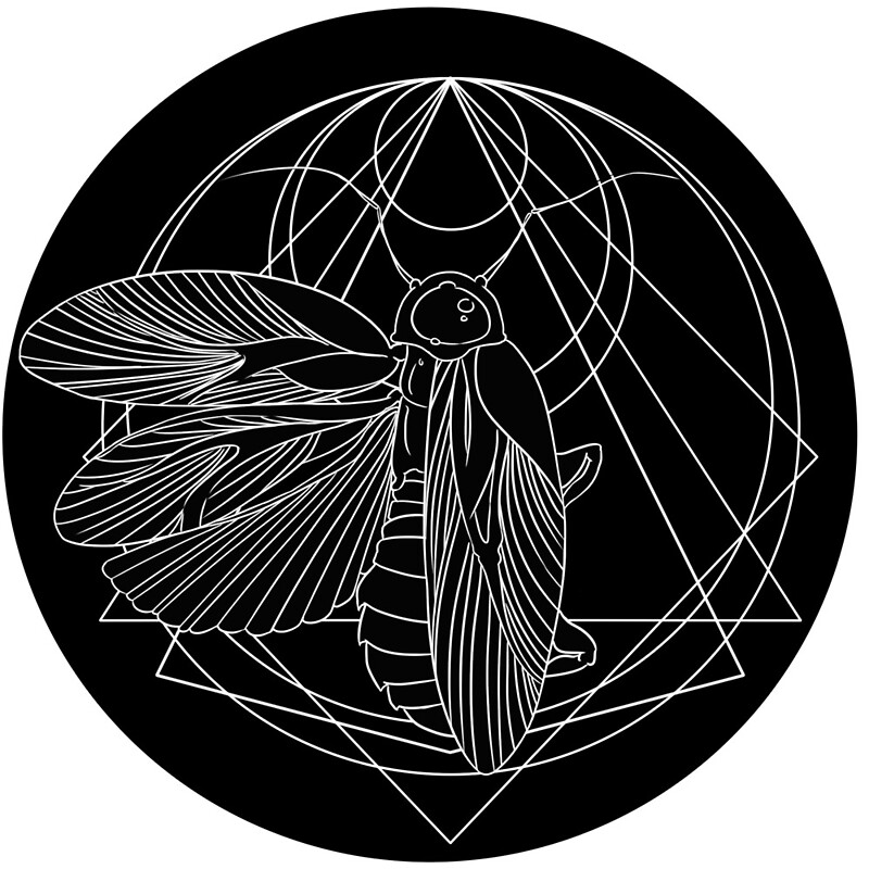 "Cockroach Sigil" by Aiden GD Moore | Redbubble