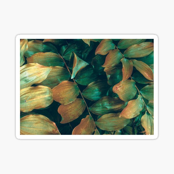 "Botanical dark pattern green and yellow leaves" Sticker by Krudoch ...