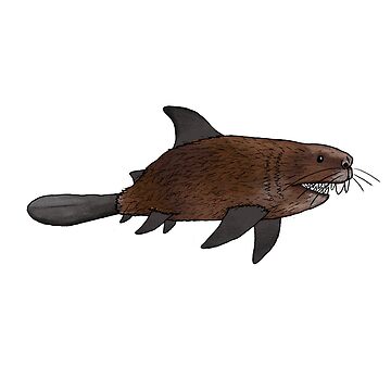 "Beavershark" Sticker for Sale by summerspell | Redbubble