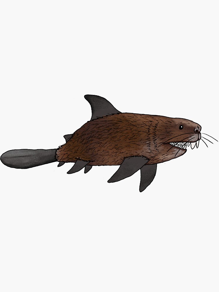 "Beavershark" Sticker for Sale by summerspell | Redbubble