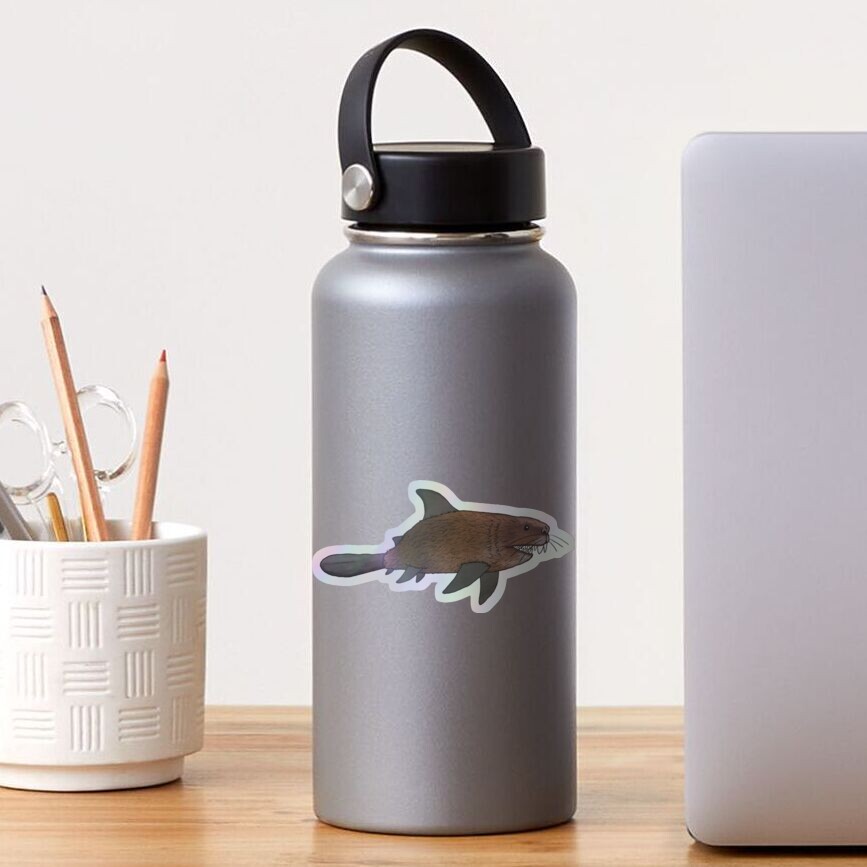 "Beavershark" Sticker for Sale by summerspell | Redbubble