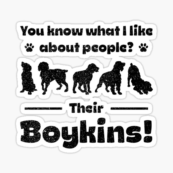 Boykin Spaniel Memes