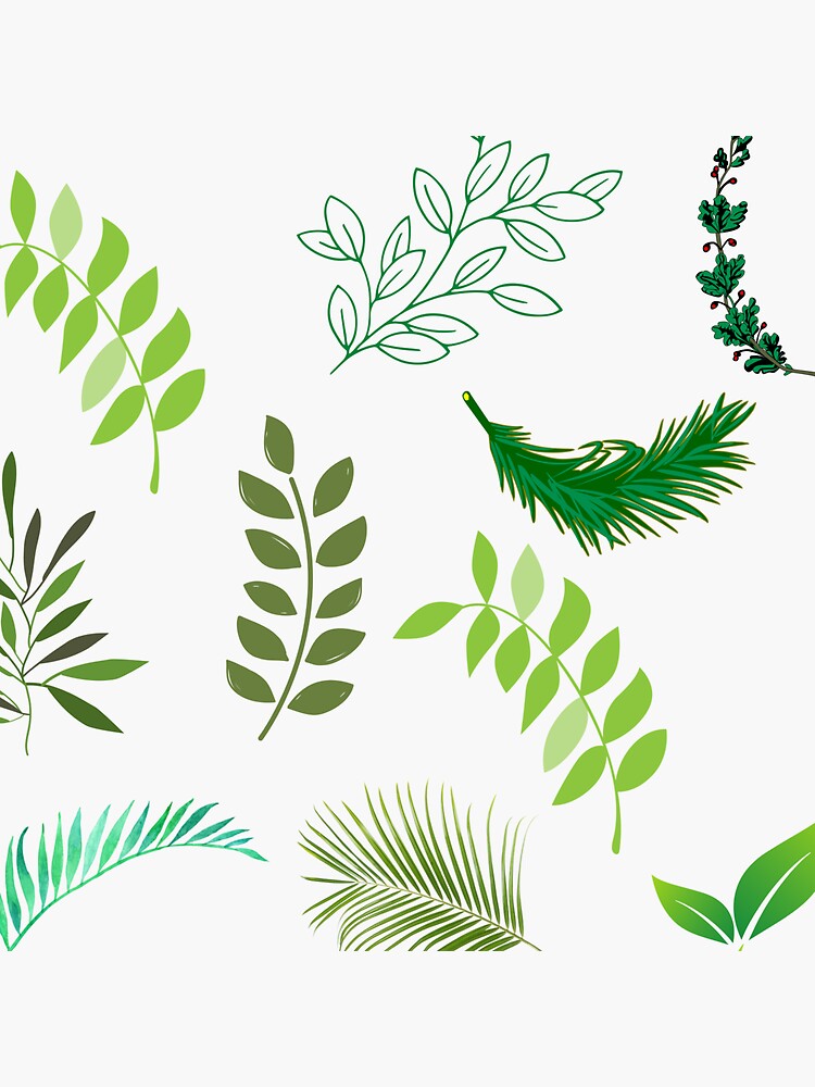 "leaves style nature lover design " Sticker for Sale by KPC1 | Redbubble