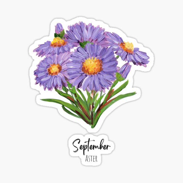 "September Birth Flower Aster" Sticker by TiffanyRoy | Redbubble