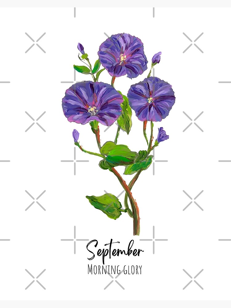 "September Birth Flower Morning Glory" Art Board Print for Sale by Tiffany Roy | Redbubble