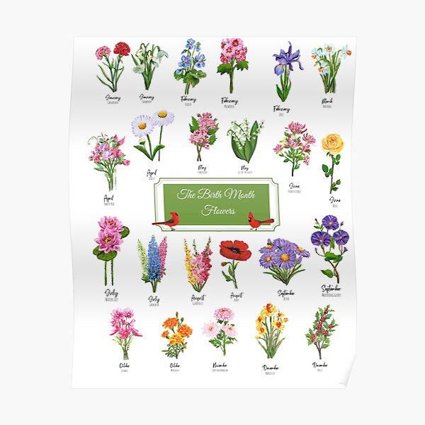 "The Birth Month Flowers" Poster for Sale by TiffanyRoy | Redbubble